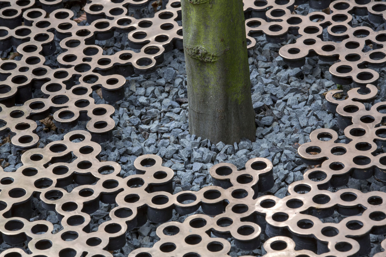 Bronze Tree Grilles - Katherine Maginnis